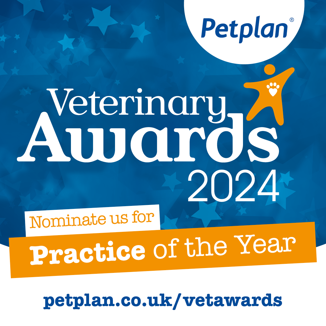 Petplan - Vet website